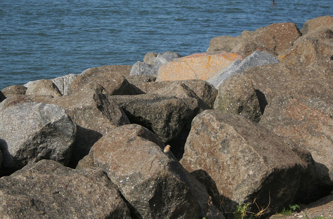 Career-for-Principal-Geologist